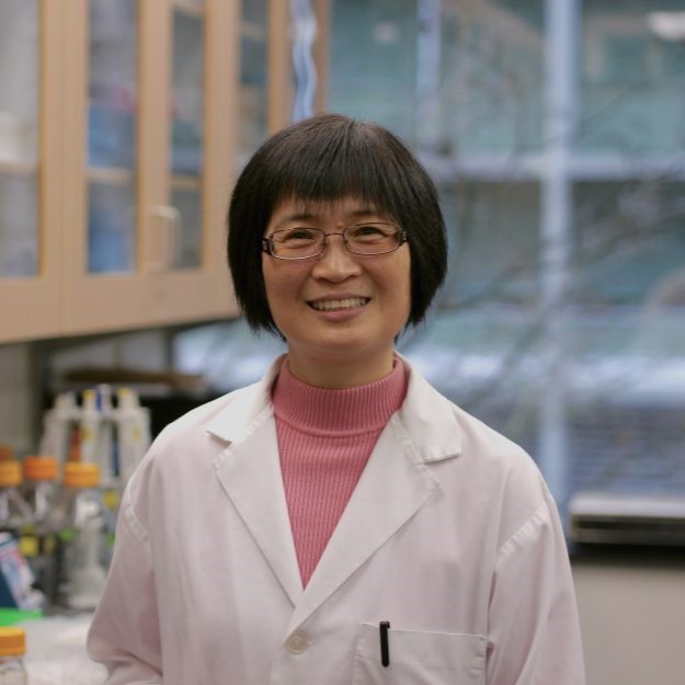 EpiBrain Team – EpiBrain Project